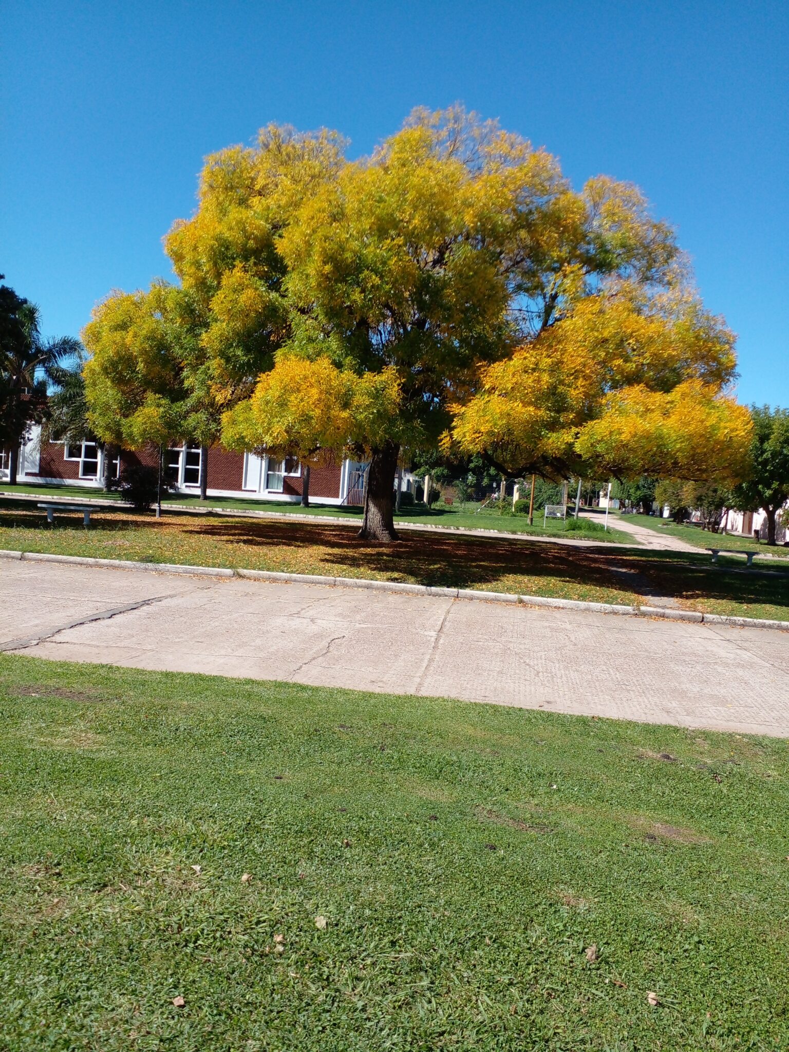 Nuestro Pueblo – Municipalidad de Mansilla